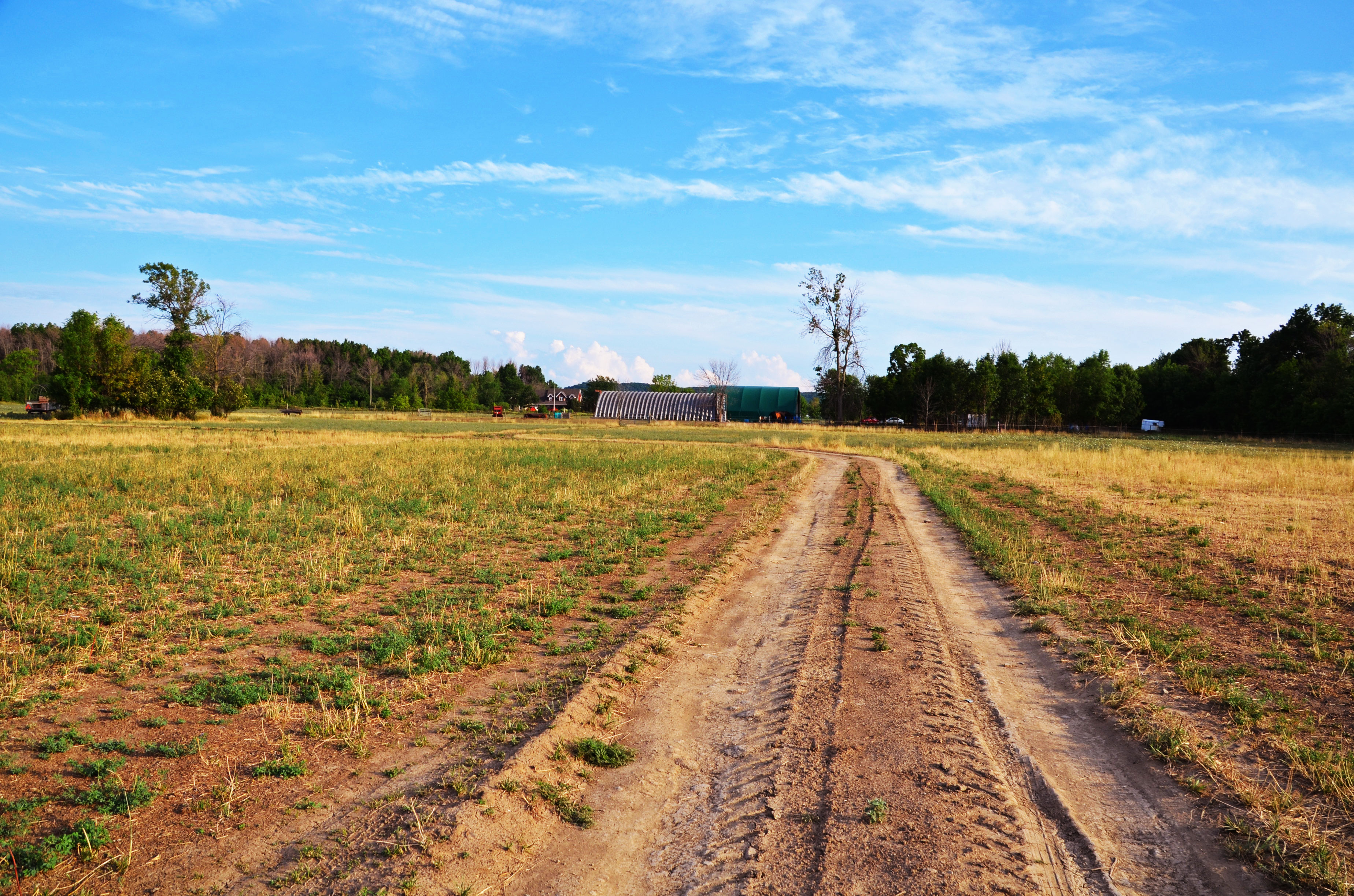 Free-range Love at Linc Farm - Pardon Your French